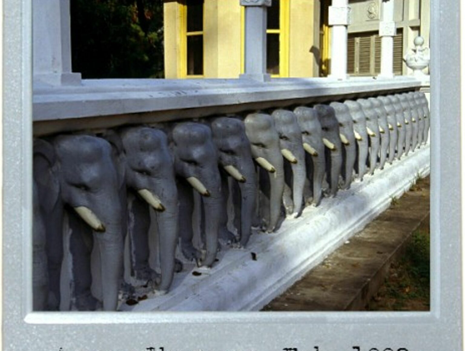 Delicate Like An Elephant - Worldcrunch