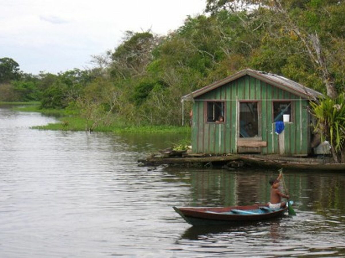 A Tiny Island In The Amazon Shows Brazil How Sustainable Living Is Done ...
