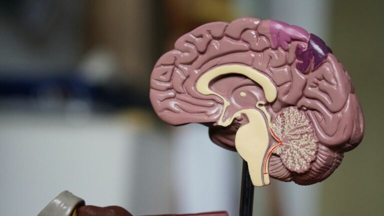 Laugh? Cry? Both!? The Neuroscience Behind Mixed Emotions