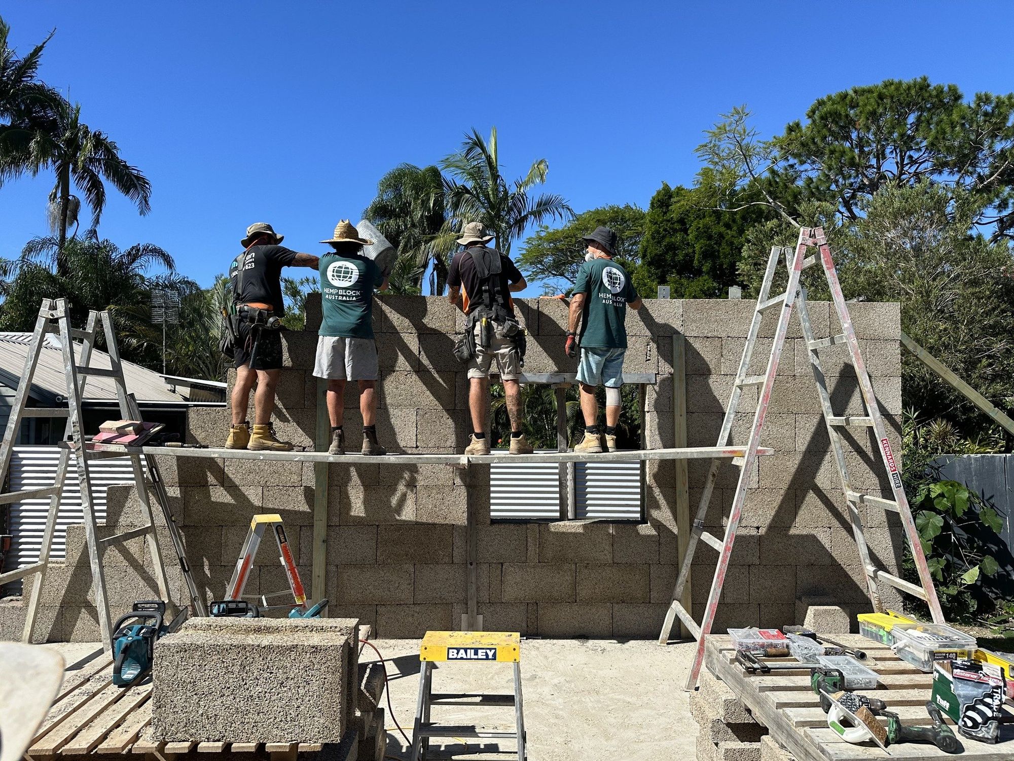 Bricks Of Weed! The House Of The Future Could Be Made Of Hemp