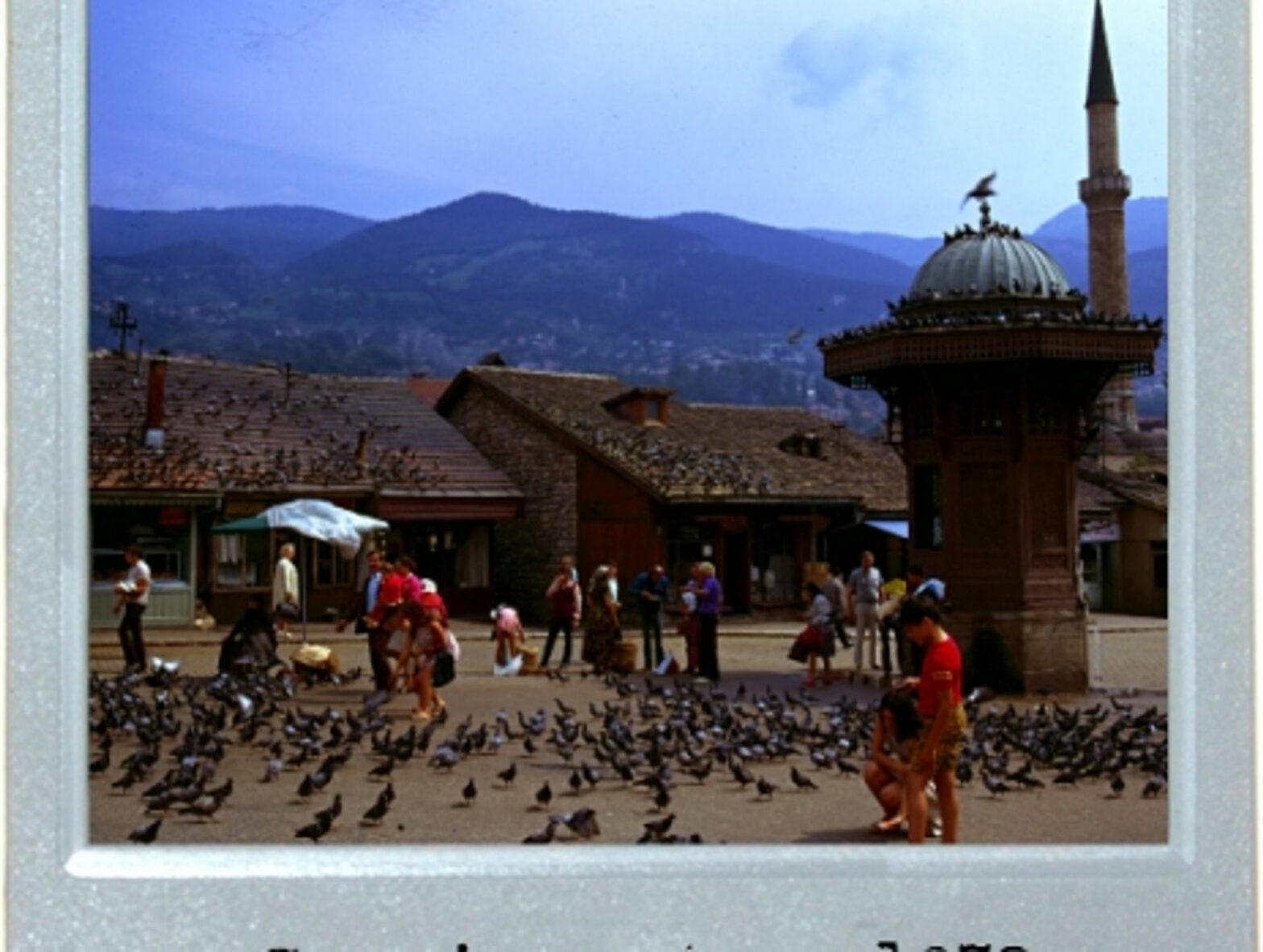 Pigeon Square - Worldcrunch