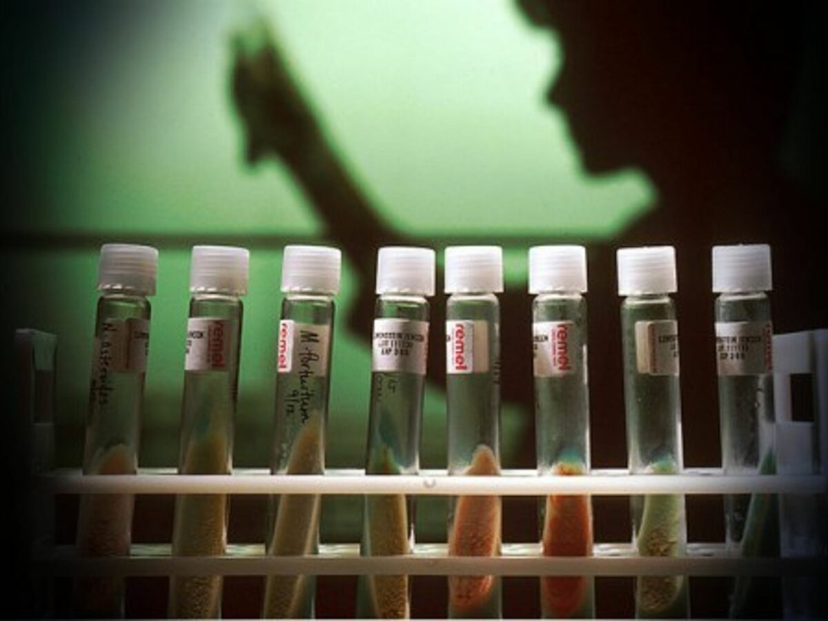 Now It's The Scientist Who Must Evolve — Or Go The Way Of The Dodo ...