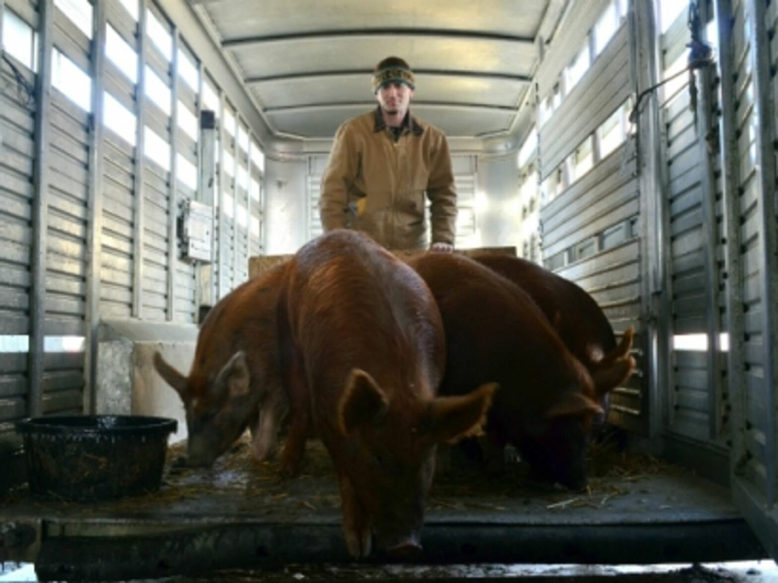 The Importance And Impossibility Of Tracing Your Meat - Worldcrunch