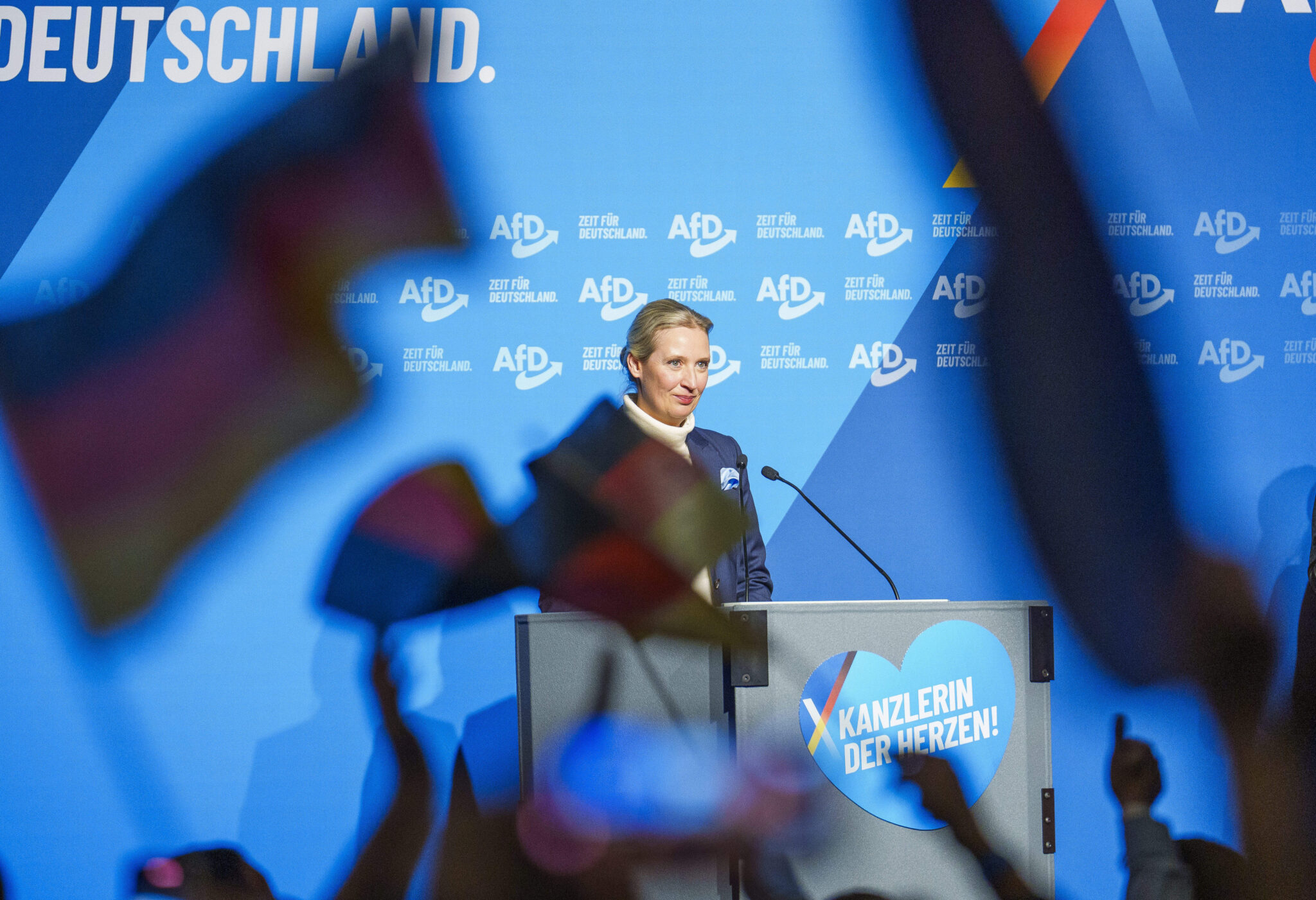 Time To Ban AfD? Why Friedrich Merz Can't Avoid The Trickiest German ...