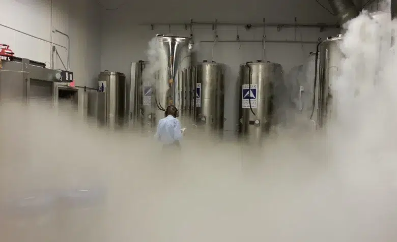 Frozen In France: A Continental Take On Cryogenic Immortality - Worldcrunch