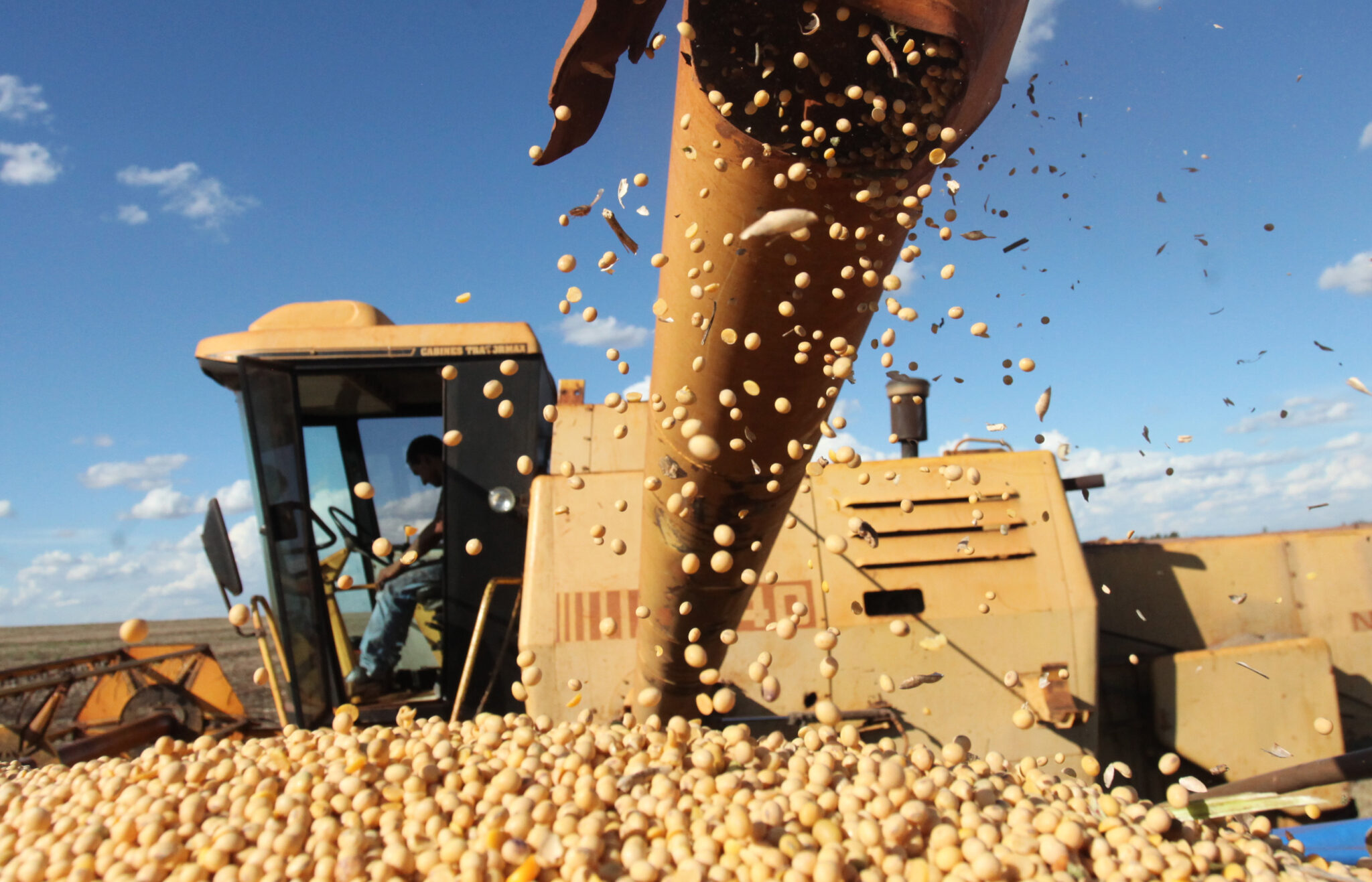 Soy, An Unlikely Weapon In The Sino-American Power Struggle - Worldcrunch