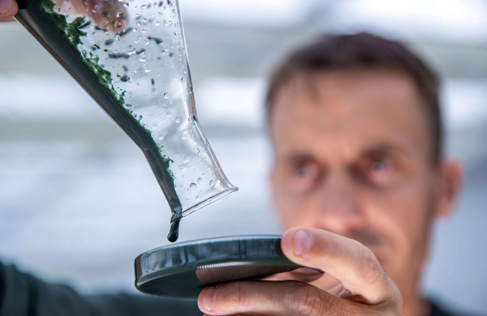 Two-State v. One-State Solution: Comparing The Two Options For A ...