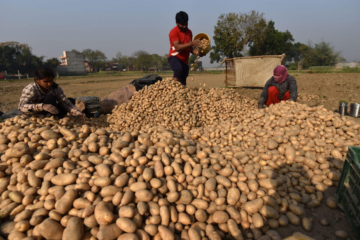 The Truth Behind India’s Hunger: Abundance Doesn’t Mean Food Security ...